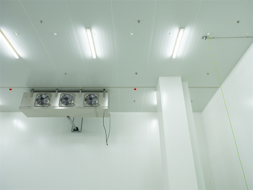 Wiskind cold chain helps Jiaodong Peninsula Whole Foods material ...