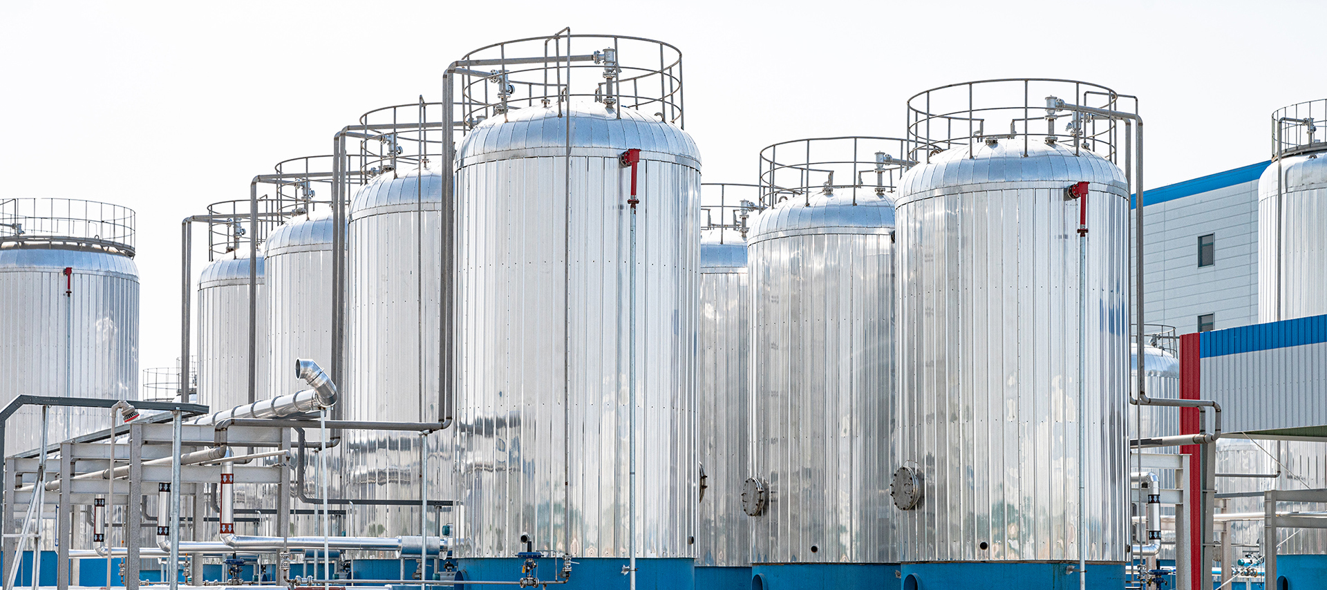 Hebei Guangxiang Pharmaceutical